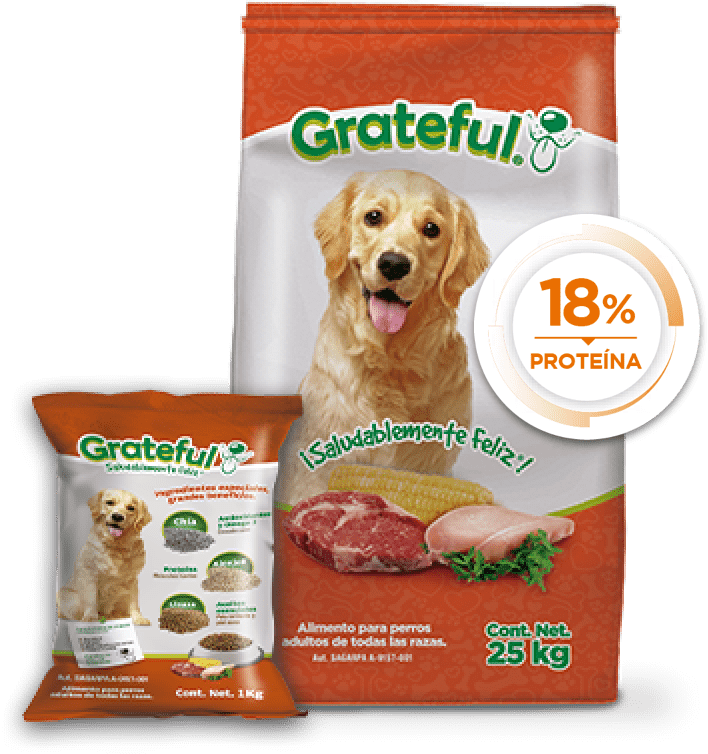 Grateful | Alimento para perros