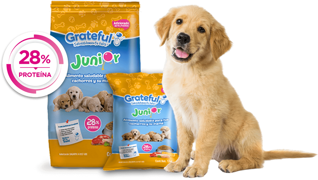 Grateful | Alimento para perros